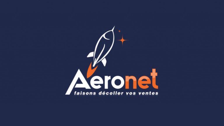 Refonte Logo Charte Graphique Agence Aéronet Référencement